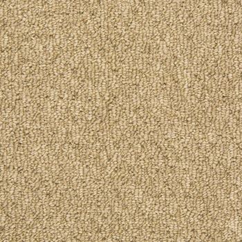 Berber Carpet Styles | Empire Today