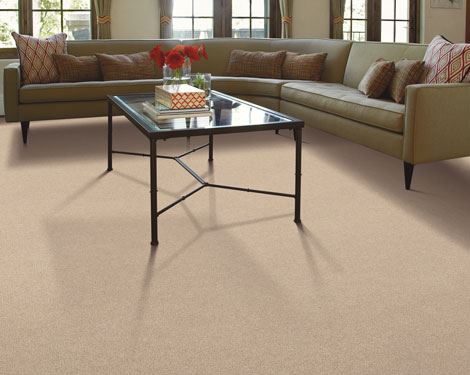 Fundamental Plush Carpet | Empire Today
