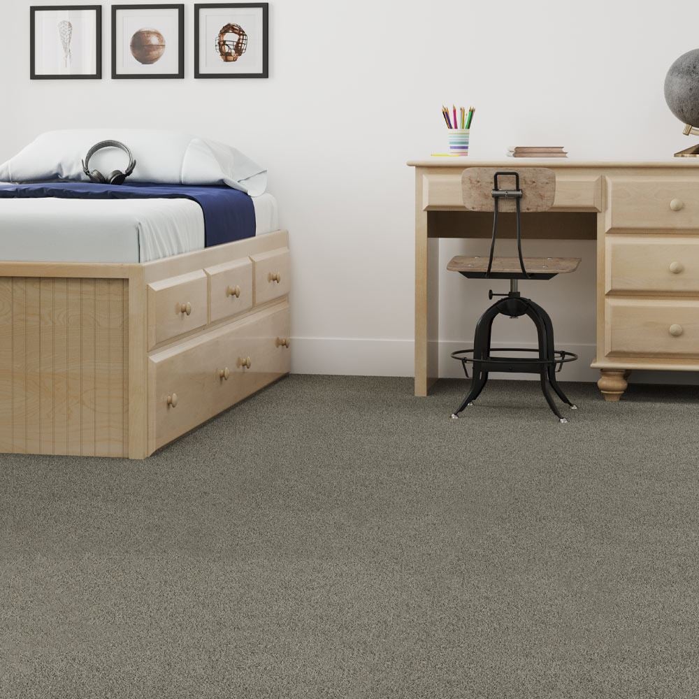 Empire Flooring - 'Winhaven' Plush Carpet | Empire Today